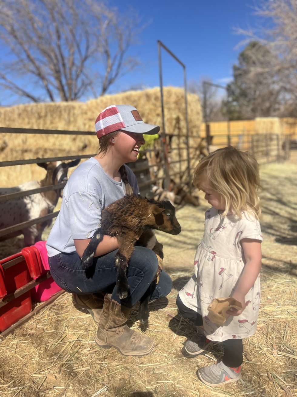 Petting Zoo 101: Safety and Fun at The Farm | The Farm Zion