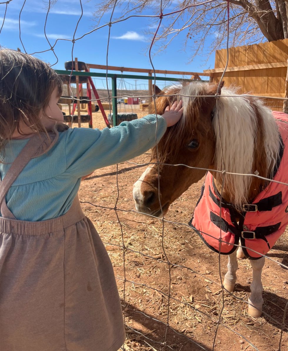 5 Reasons You Can’t Miss Baby Animal Days at The Farm | The Farm Zion