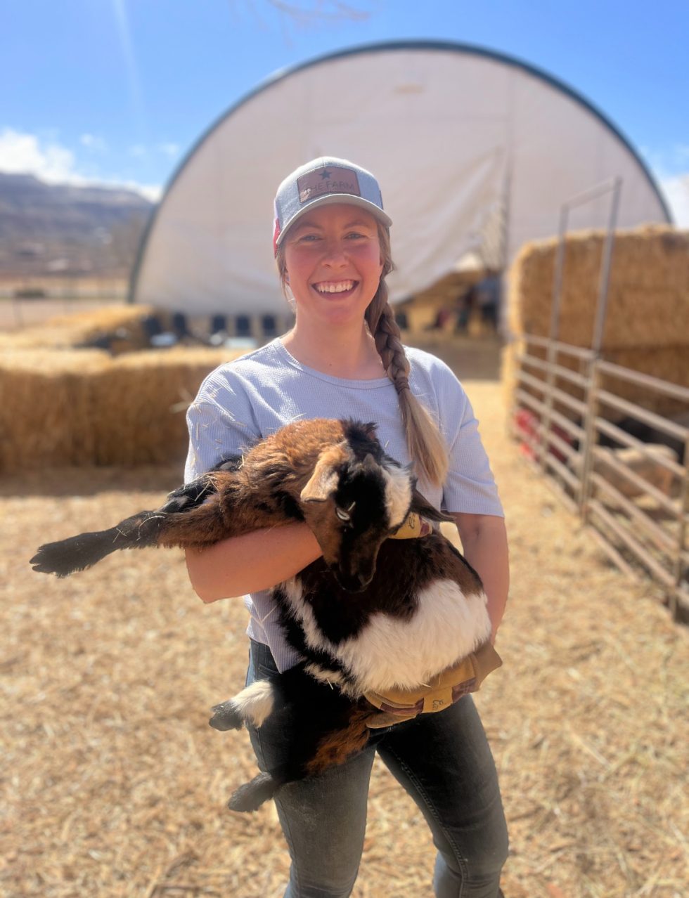 🌾🐾 Join Our Farm Family! 🌾🐾 Do you have a heart for animals and a knack ...