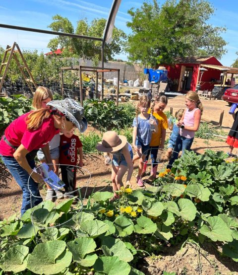 Summer Fun Has Officially Begun at The Farm! | The Farm Zion