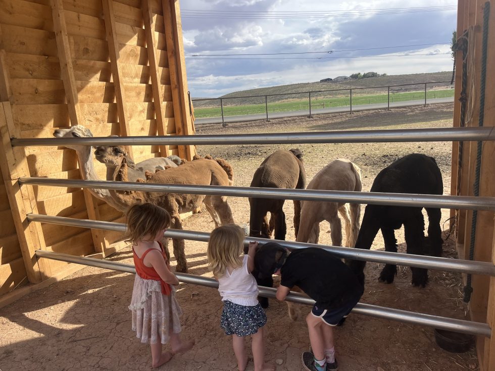How to Pack for the Perfect Farm Day | The Farm Zion