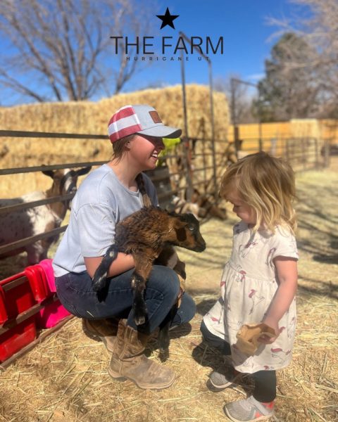 Farm Kids Summer Camp: Work Hard, Learn Lots, and Have a Barnyard Blast ...